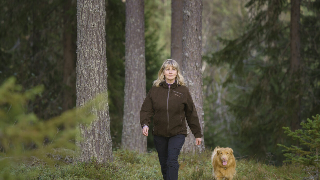Nyheter - Certifiera din skog - Fiskarheden
